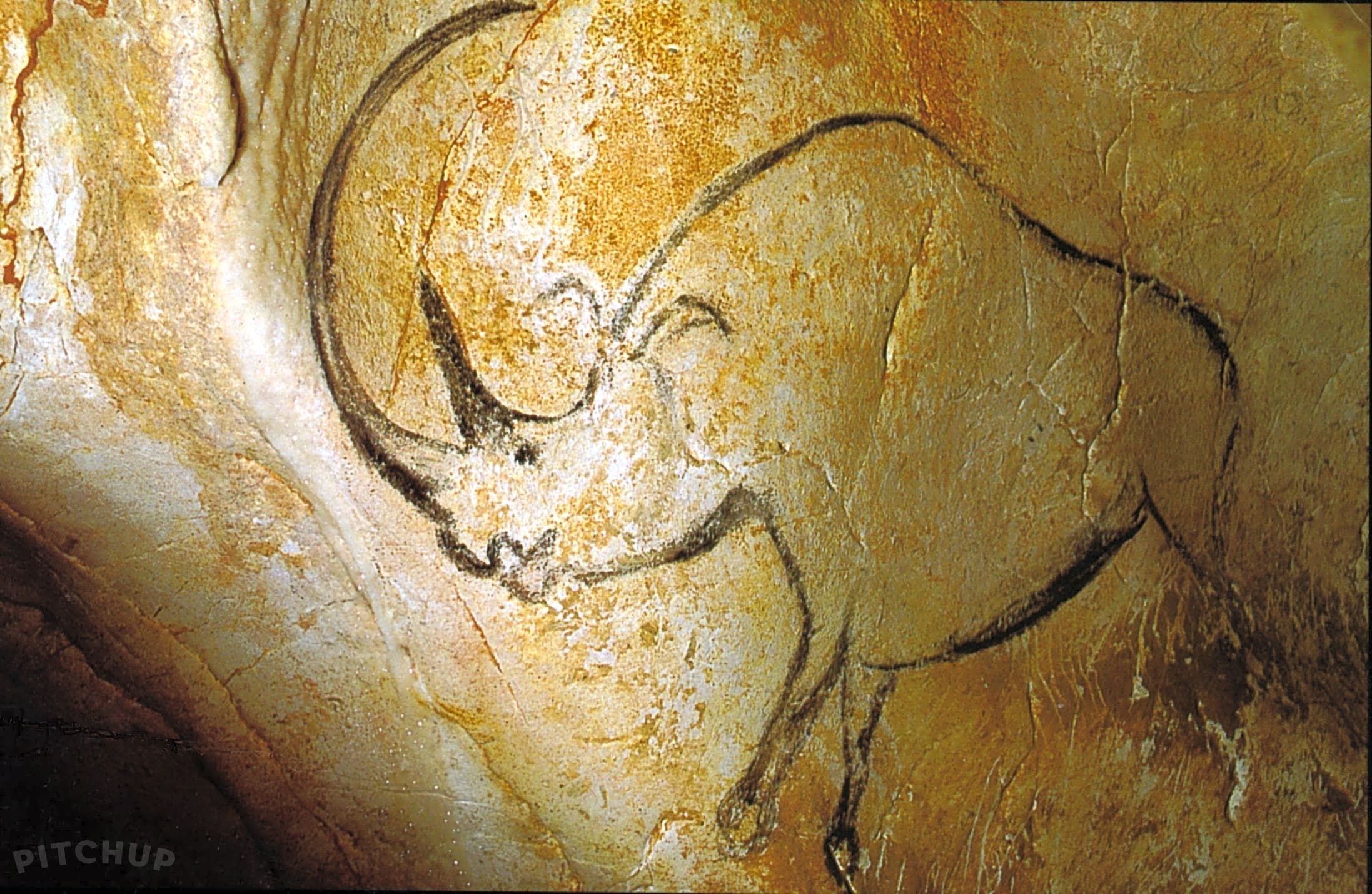 Europe’s Earliest Cave Drawings Become UNESCO World Heritage Site