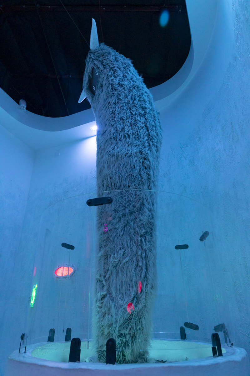 Meow Wolf Wins a Partial Victory in a Copyright Lawsuit Brought by an ...