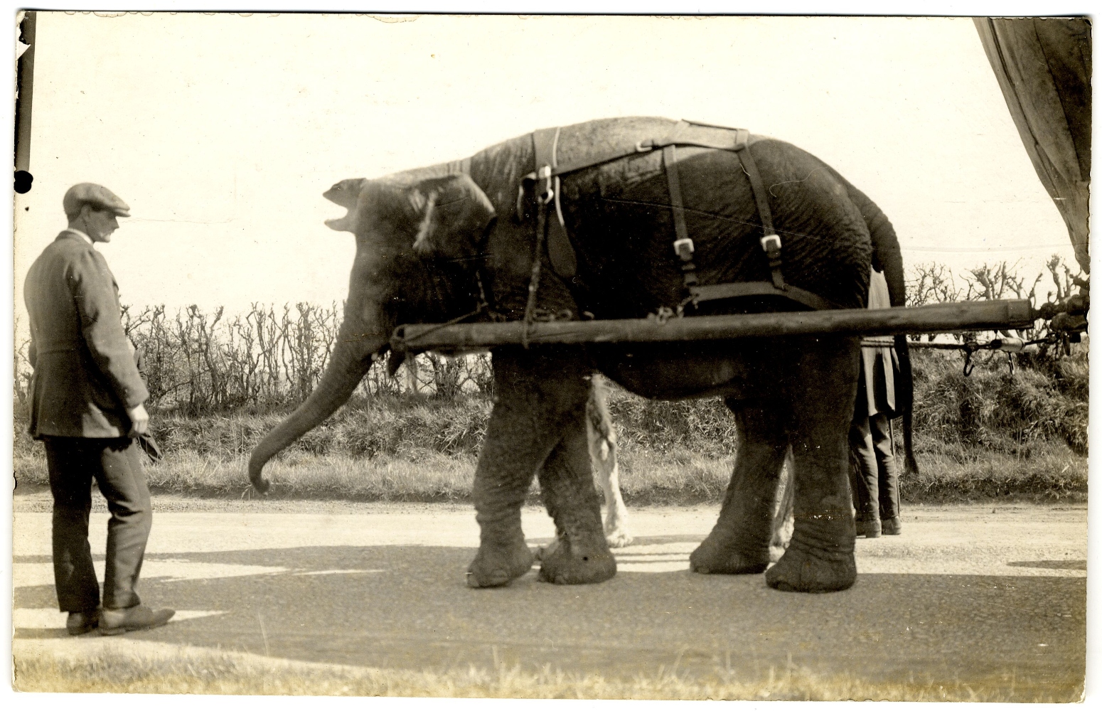 Archaeologists in the U.K. Are Using Ground-Penetrating Radar to Locate ...